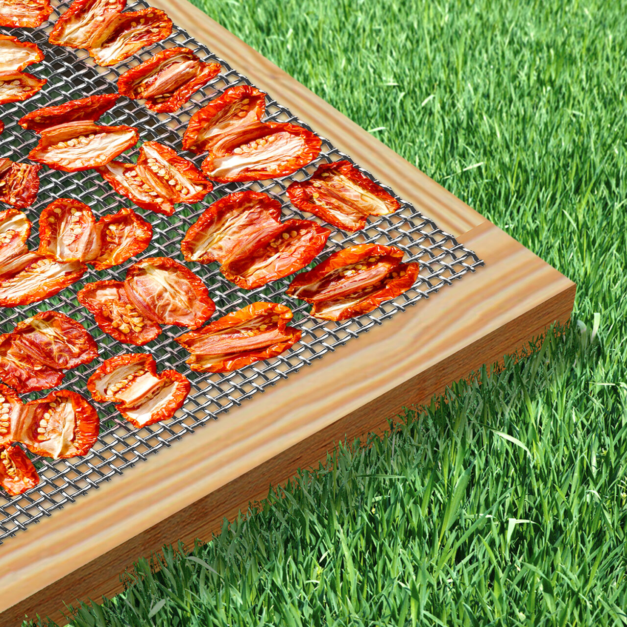 SOLAR FOOD DRYER: Build Your Own Electricity-Free Food Preservation System