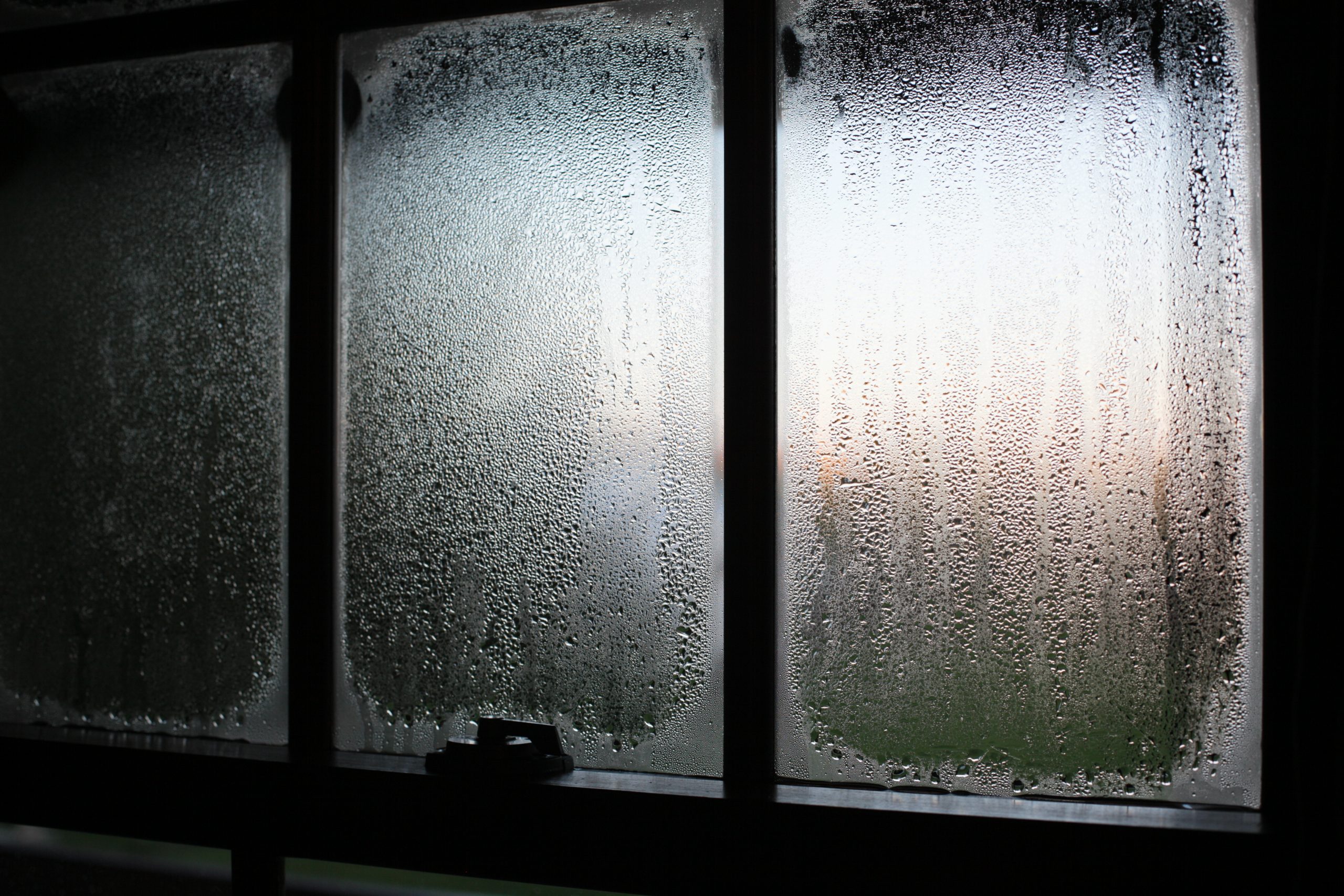 GOT WET WINTER WINDOWS? Dry Them Up With This Free Downloadable Guide