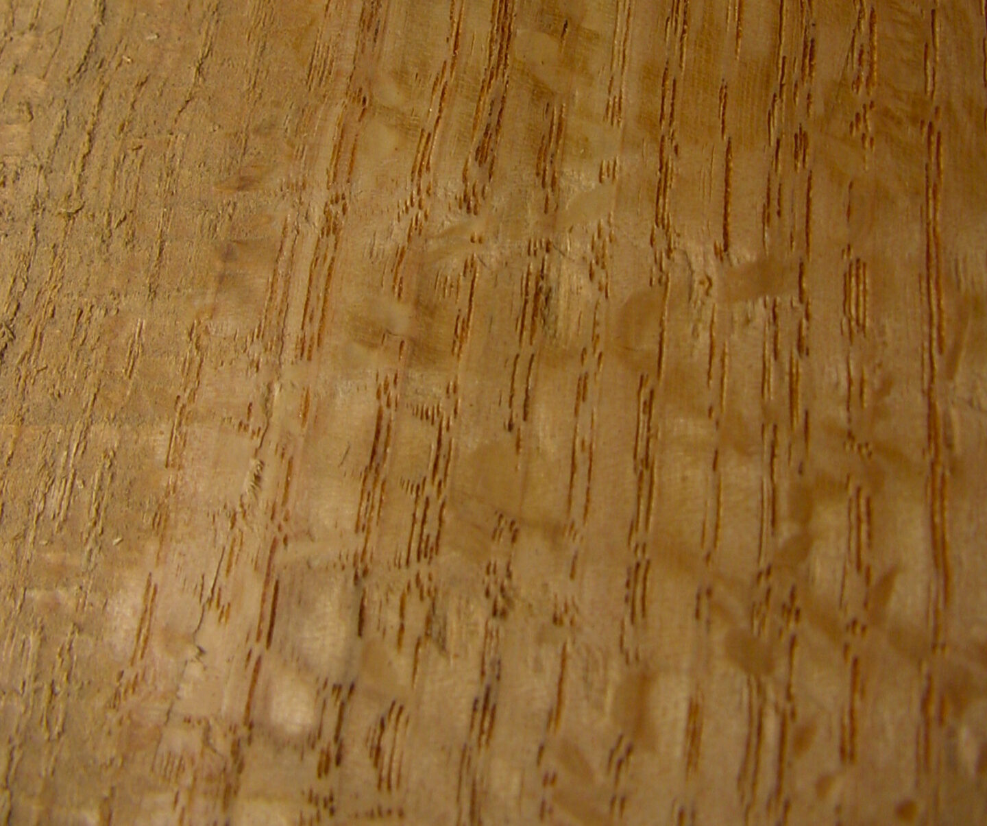 Why woodworkers should look at quartersawn lumber.