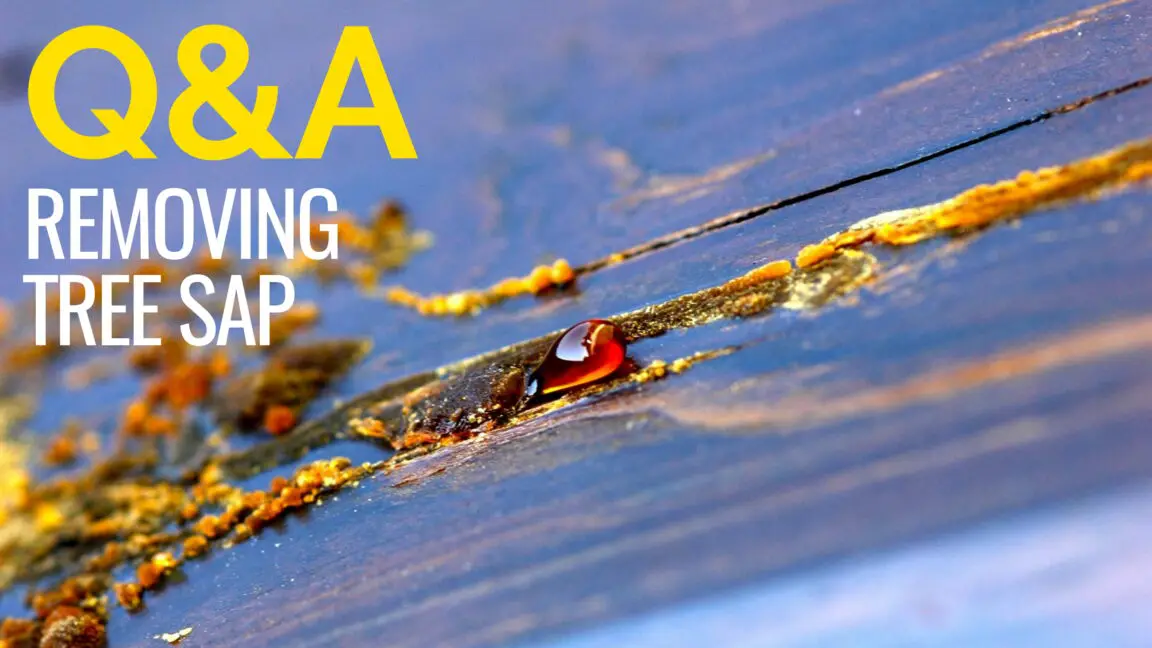 How to Remove Tree Sap from Wood, Clothes & Vehicles
