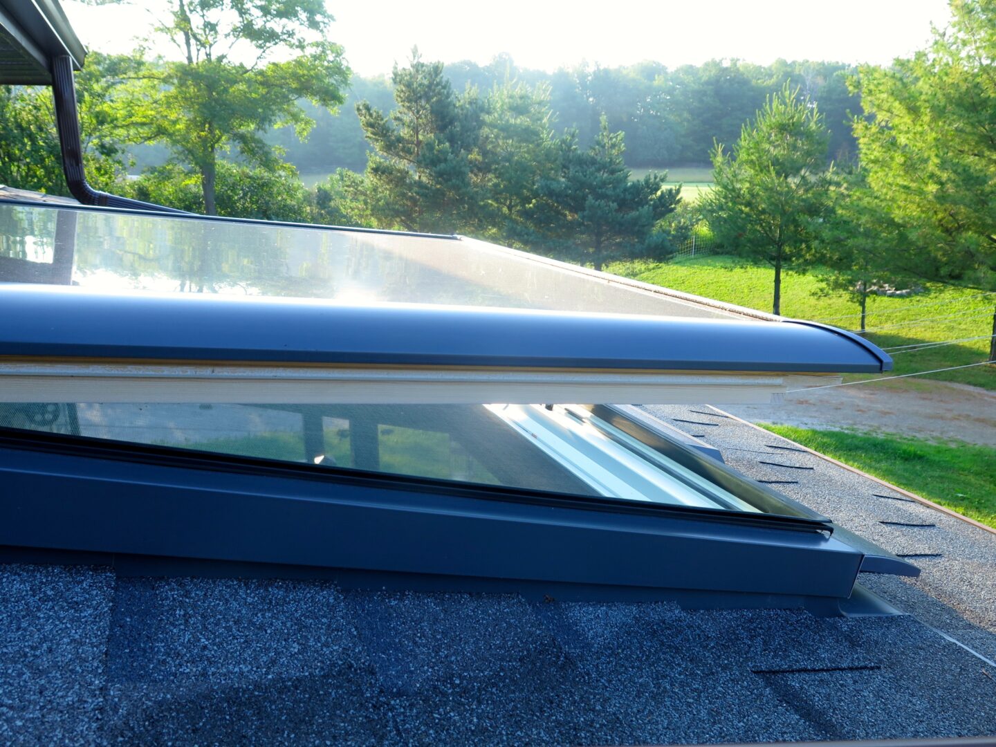 How to Remove Tree Sap from Wood, Clothes & Vehicles - Baileylineroad