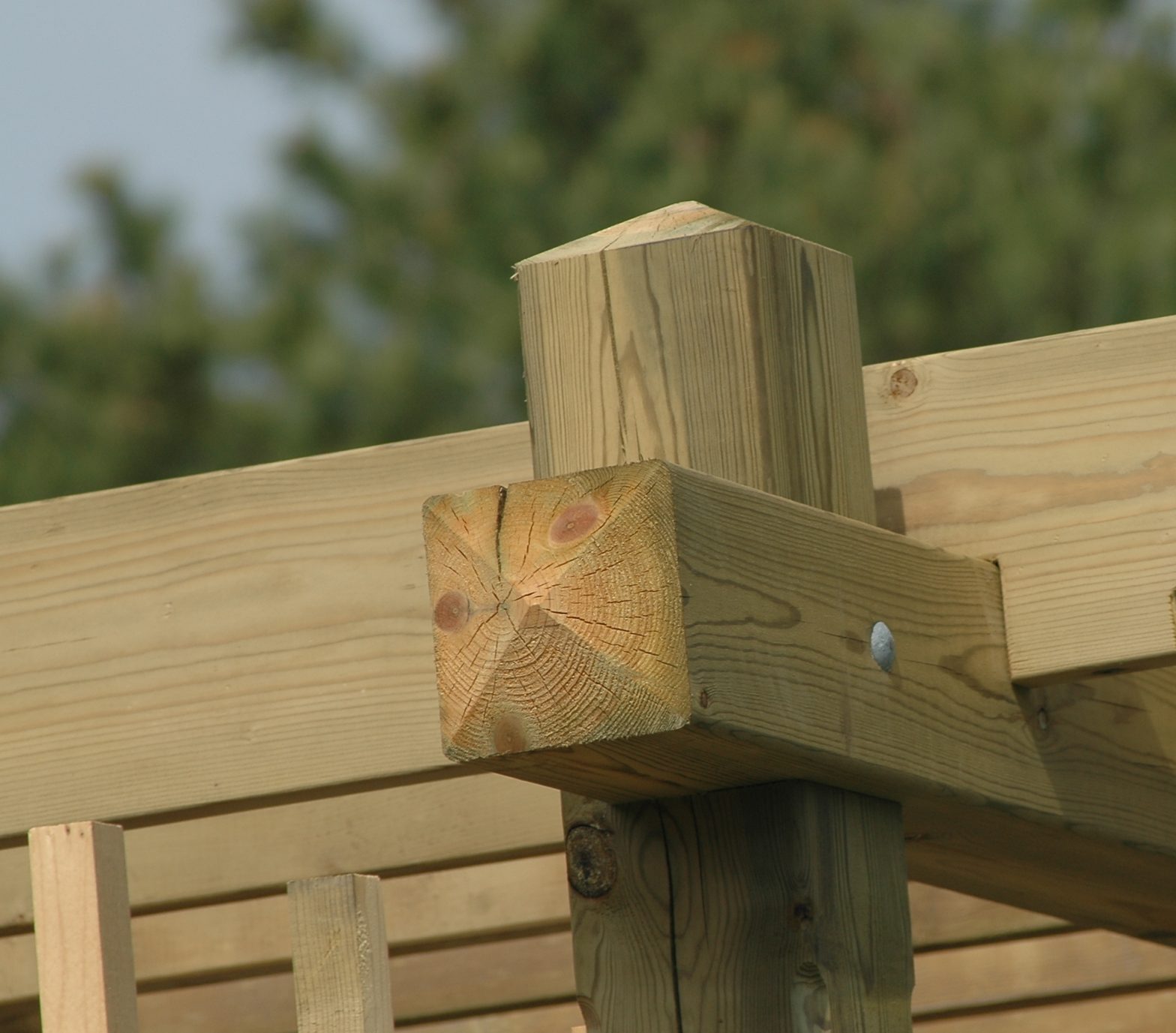 GARDEN GATEWAY: download Plans for Building a Great Pergola