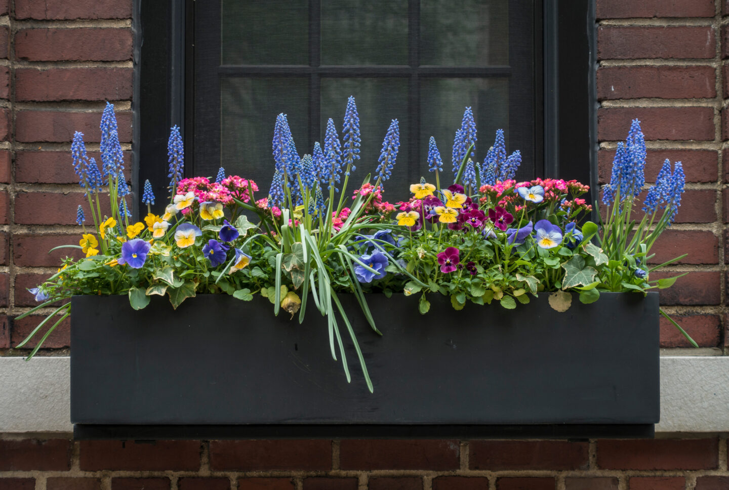 Incorporating Window Boxes Into Your Modern Farmhouse Aesthetic