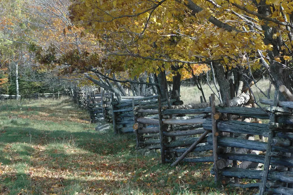 Vintage Cedar Rail Fences Tell the Story of Hope - Baileylineroad